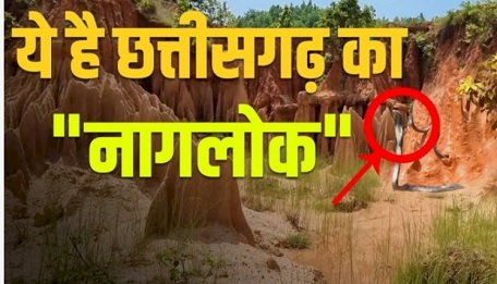 Naglok News: छत्तीसगढ़ में है धरती का नागलोक, जहां पाई जाती है सांपों ...